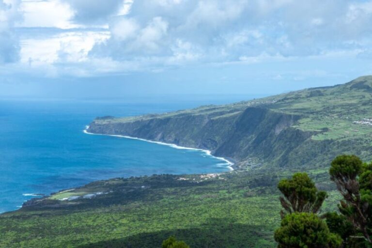 Faial Island: Half Day Tour - Detailed Breakdown of the Tour