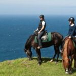 Faial Island: Horseback Riding (3 hrs - Experienced Riders) - What to Expect: A detailed look at the horseback ride