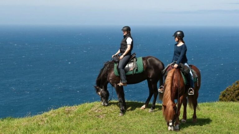 Faial Island: Horseback Riding (3 hrs - Experienced Riders) - What to Expect: A detailed look at the horseback ride
