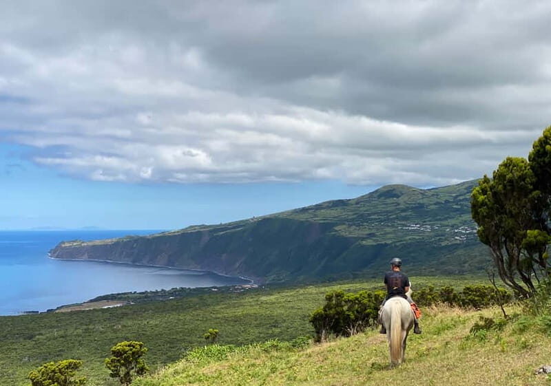Faial Island: Horseback Riding on Lusitano Trail - The Horses: Lusitano Beauties