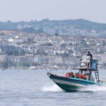 Falmouth: 2 Hour Wildlife Watching RIB Tour - The Itinerary Breakdown