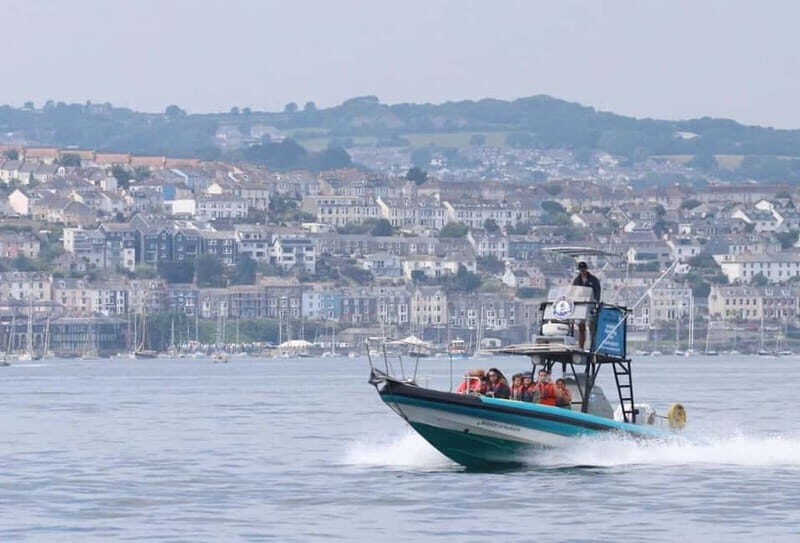 Falmouth: 2 Hour Wildlife Watching RIB Tour - The Itinerary Breakdown