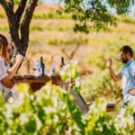 Falset: Guided Wine Tour to the Priorat by a Local - The Real Value of the Tour