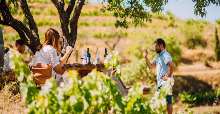 Falset: Guided Wine Tour to the Priorat by a Local - The Real Value of the Tour
