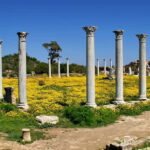 Famagusta & Salamis with Italian-speaking Guide - Practicalities and Logistics