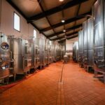 FAMIGLIA COTARELLA, NEAR ORVIETO WINE TASTE AND VISIT - Tasting and Territorial Food Pairings
