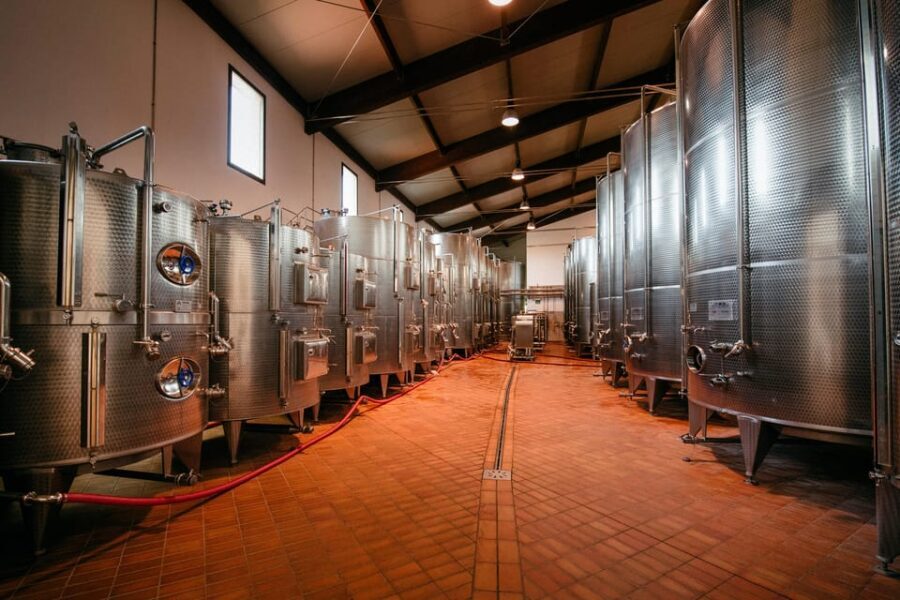 FAMIGLIA COTARELLA, NEAR ORVIETO WINE TASTE AND VISIT - Tasting and Territorial Food Pairings