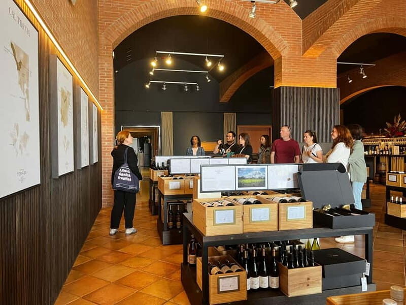 Familia Torres Winery: Gastronomic Tapas & Wine Experience - A Full Breakdown of the Experience