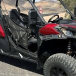 Family buggy - 4 seats, on road tour - The Experience - What You’ll Actually Do