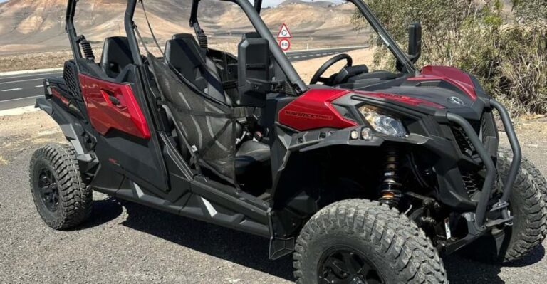 Family buggy - 4 seats, on road tour - The Experience - What You’ll Actually Do