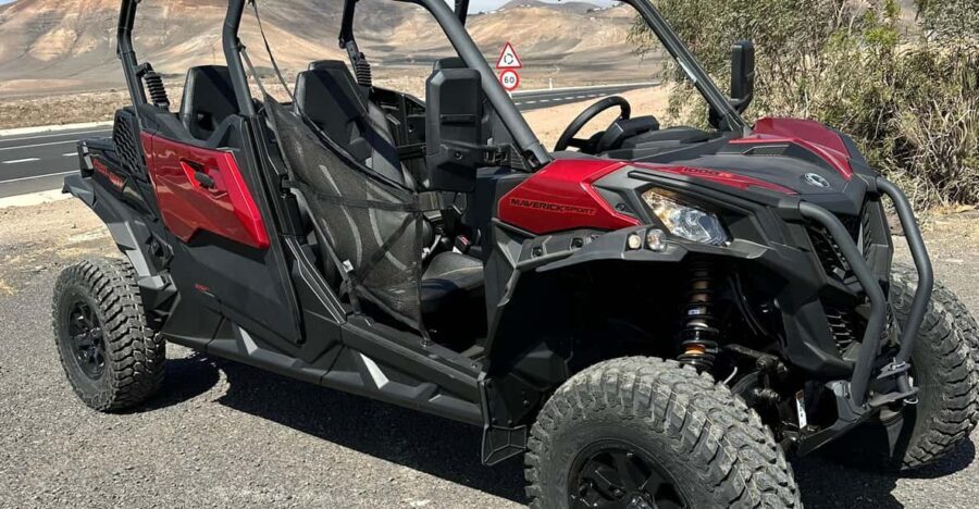 Family buggy - 4 seats, on road tour - The Experience - What You’ll Actually Do
