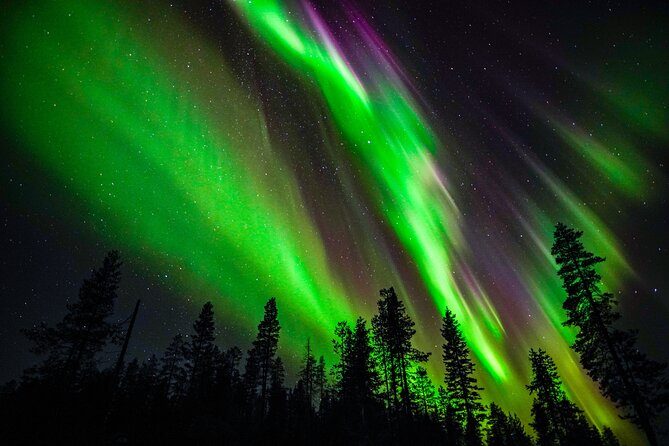 Family-Friendly: Northern Lights Adventure from Rovaniemi - Key Points