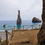 Fanal & Porto Moniz - West Madeira Tour - Practical Tips and Considerations