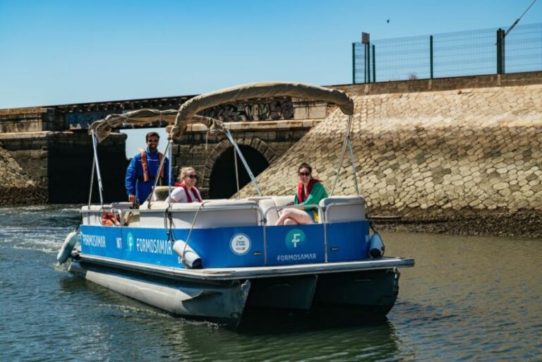 Faro: Deserta Island and Farol Island Catamaran Boat Trip - Detailed Breakdown of the Itinerary
