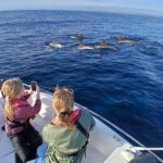 Faro: Funtastic Dolphin Watching Boat Tour - The Ria Formosa: A Natural Paradise