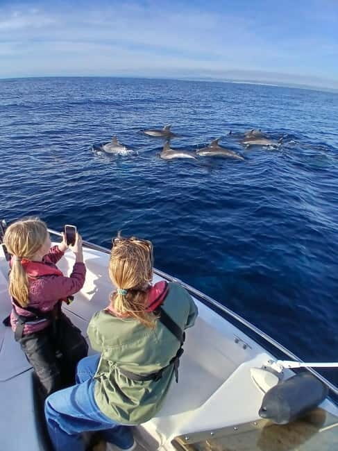 Faro: Funtastic Dolphin Watching Boat Tour - The Ria Formosa: A Natural Paradise