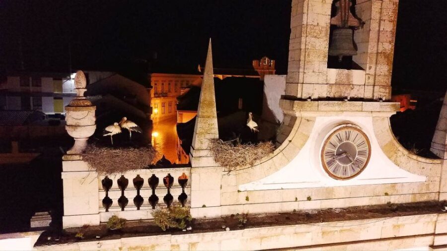 Faro: Night Segway Tour with Cocktails - Why This Tour Works Well for Travelers