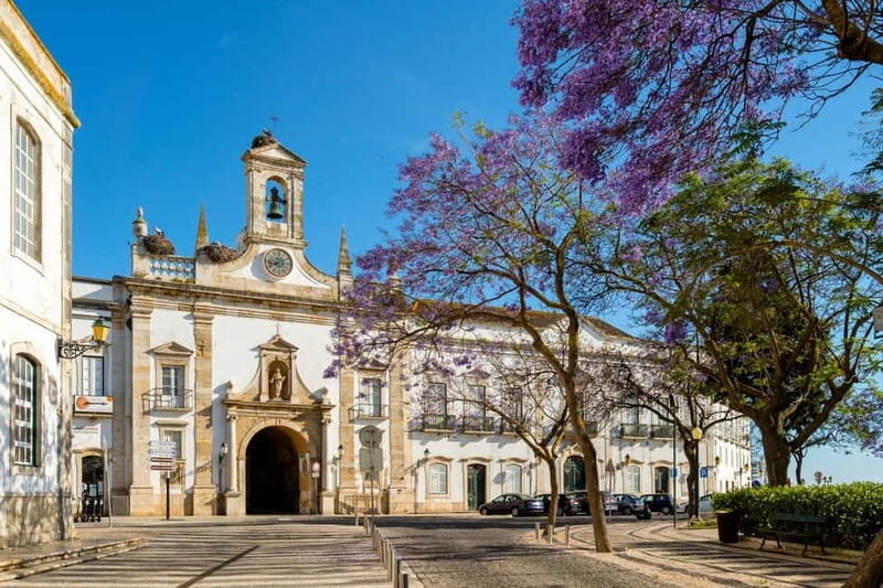 Faro: Private City 2 Hour Sightseeing Tour with Local - Who Should Consider This Tour?