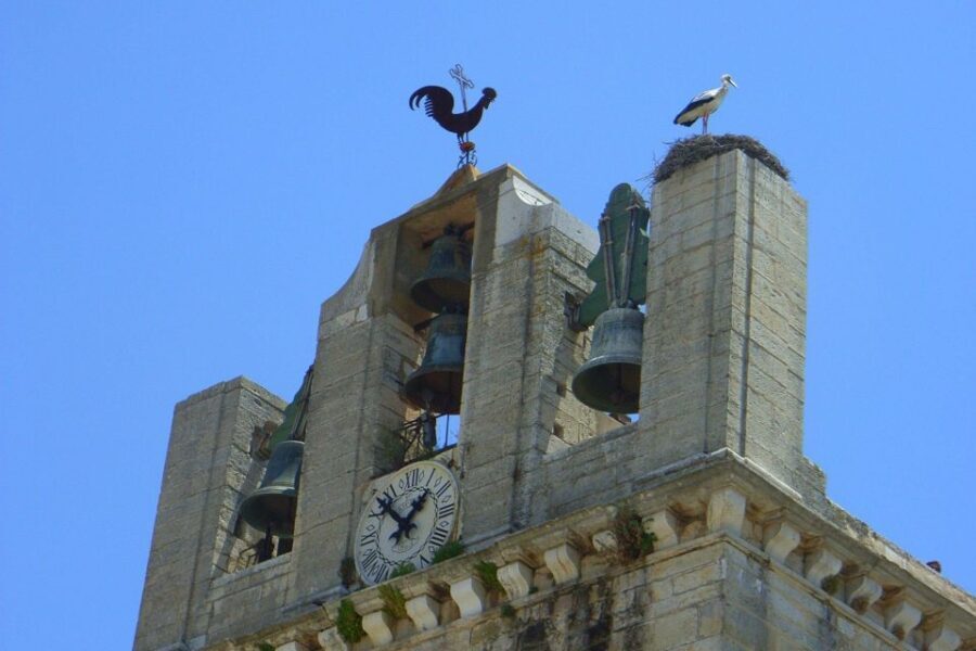 Faro Private Walking Tour - Exploring Faro’s Historic Heart: What’s Included and What to Expect