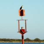 Faro: Pudim Real Boat Tours 6h guided boat tour Ria Formosa - What Travelers Say