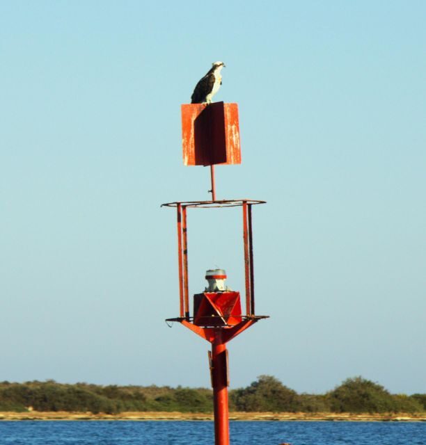 Faro: Pudim Real Boat Tours 6h guided boat tour Ria Formosa - What Travelers Say