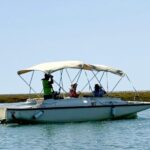 Faro: Ria Formosa Boat Tour by Eco-Friendly Solar Boat - Who Should Consider This Tour?