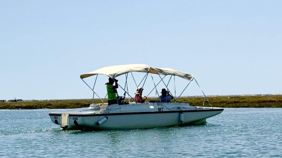 Faro: Ria Formosa Boat Tour by Eco-Friendly Solar Boat - Who Should Consider This Tour?