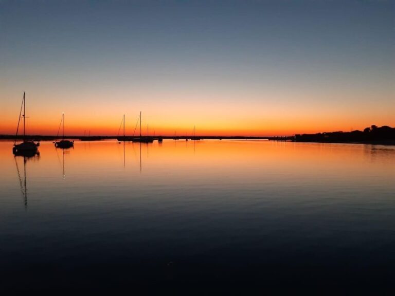 Faro: Ria Formosa Sunset Boat Tour - What to Expect from the Faro Ria Formosa Sunset Boat Tour