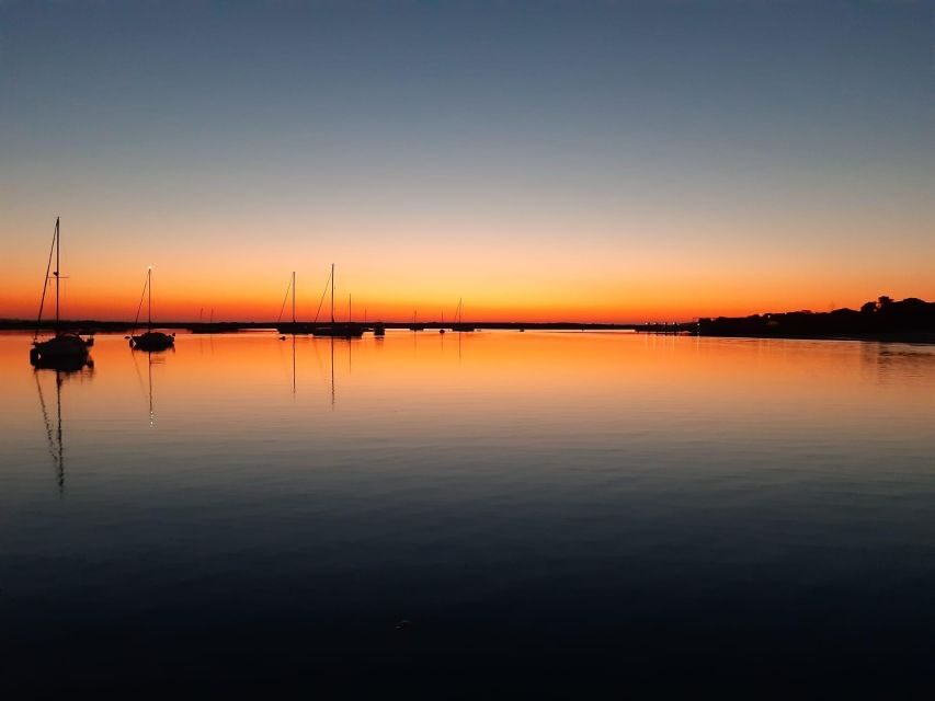 Faro: Ria Formosa Sunset Boat Tour - What to Expect from the Faro Ria Formosa Sunset Boat Tour