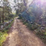 Fátima: E-Bike Tour to Dinosaur Footprints Natural Monument - What It Feels Like to Cycle Here