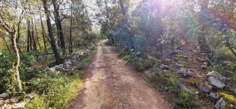 Fátima: E-Bike Tour to Dinosaur Footprints Natural Monument - What It Feels Like to Cycle Here