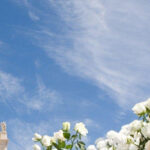 Fátima Holy City Full Day Tour - Who Is This Tour Best For?