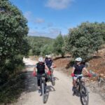 Fátima: Sanctuary, Castle & Gastronomy - All-iN E-bike Tour - The Sum Up