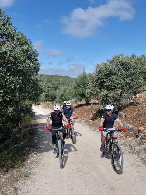 Fátima: Sanctuary, Castle & Gastronomy - All-iN E-bike Tour - The Sum Up