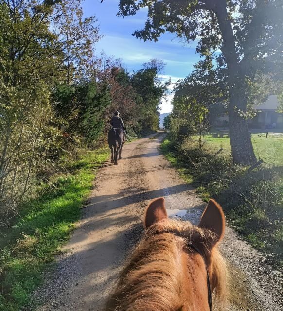 Fattoria Tègoni: horseback riding in Tuscany - Price and Value