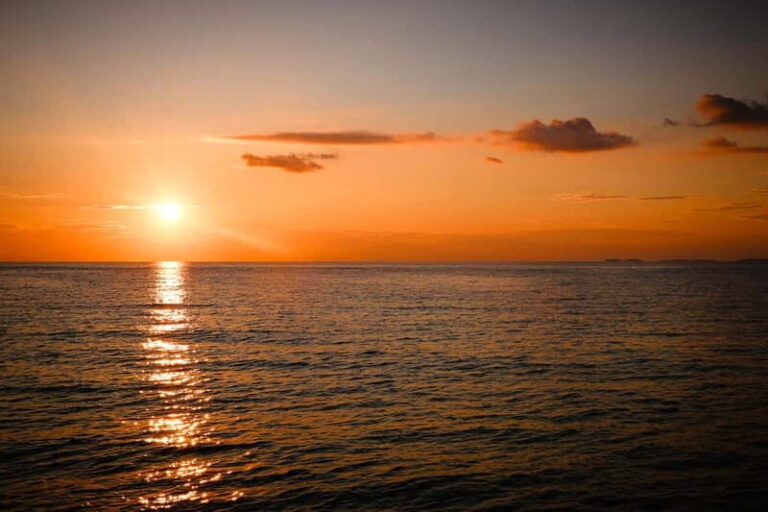 Fazana: Dolphin/Sunset Tour - The Itinerary and What to Expect