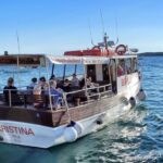 Fazana: Guided Dolphin Watching Sightseeing Cruise at Sunset - Why This Tour Might Be Perfect for You