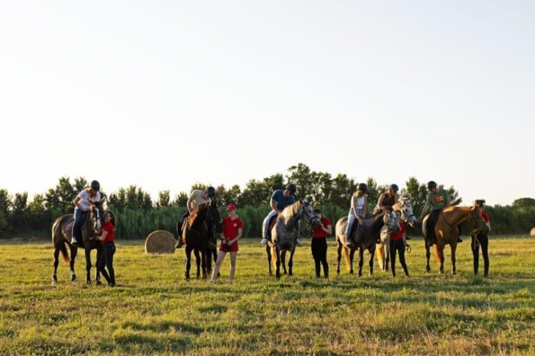 Fazana: Sunset 1-hour Horse Riding in Nature with Guide - Who Is This Tour For?