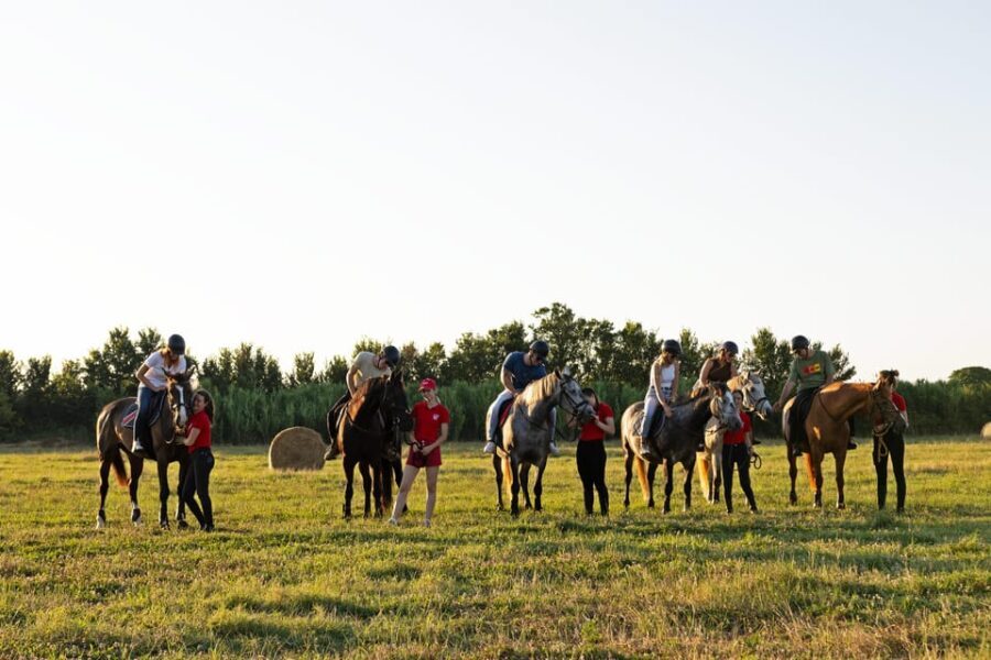 Fazana: Sunset 1-hour Horse Riding in Nature with Guide - Who Is This Tour For?