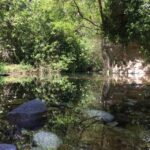 Ferla: Pantalica Nature Reserve UNESCO Tour with Swim Stop - Nature Walk and Swimming Break