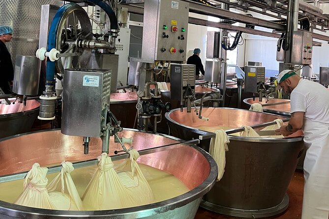 Ferrari, Parmesan and Balsamic Day Tour from Bologna - Exploring the Ferrari, Parmesan, and Balsamic Day Tour from Bologna