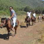 Fethiye Horse Safari - What to Expect During the Tour