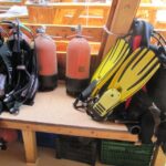 Fethiye: Professional Scuba Diving with Lunch - Who Should Consider This Tour?
