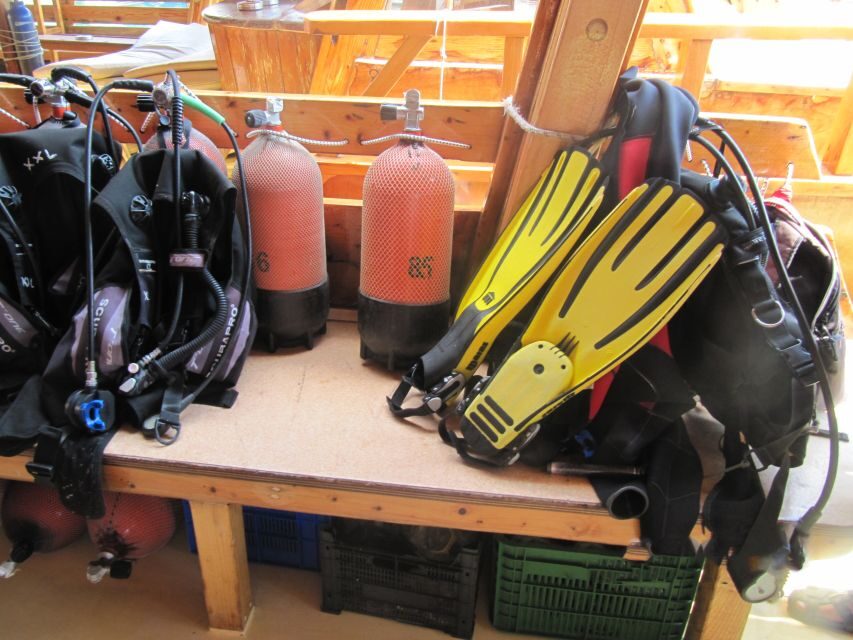 Fethiye: Professional Scuba Diving with Lunch - Who Should Consider This Tour?
