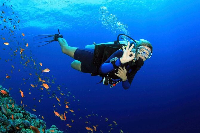 Fethiye Scuba Diving Experience By A Local Expert - Introduction