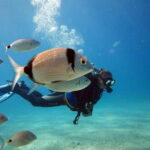 Fethiye Scuba Diving Tour: Free Shuttle Service - Lunch Included - The Practical Aspects