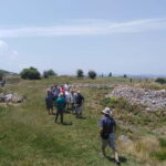 Fier: Byllis Archaeological Park Guided Tour - The Experience: Authentic and Educational