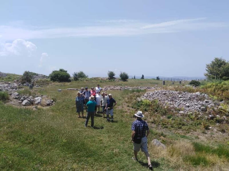 Fier: Byllis Archaeological Park Guided Tour - The Experience: Authentic and Educational