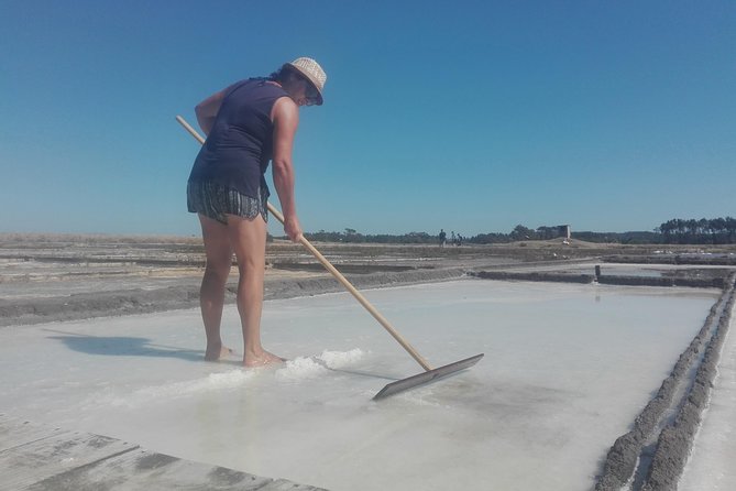 Figueira da Foz by rice paddies and salines, half-day from Coimbra - A Practical Guide to the Figueira da Foz Half-Day Tour