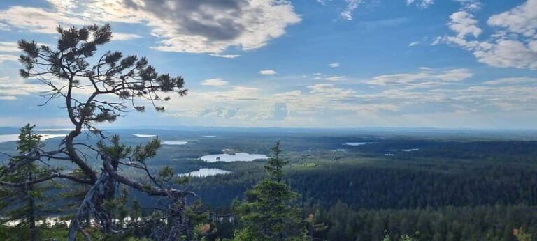 Finnish Lapland: Midnight Sun Hike in Riisitunturi np - The Experience at the Summit